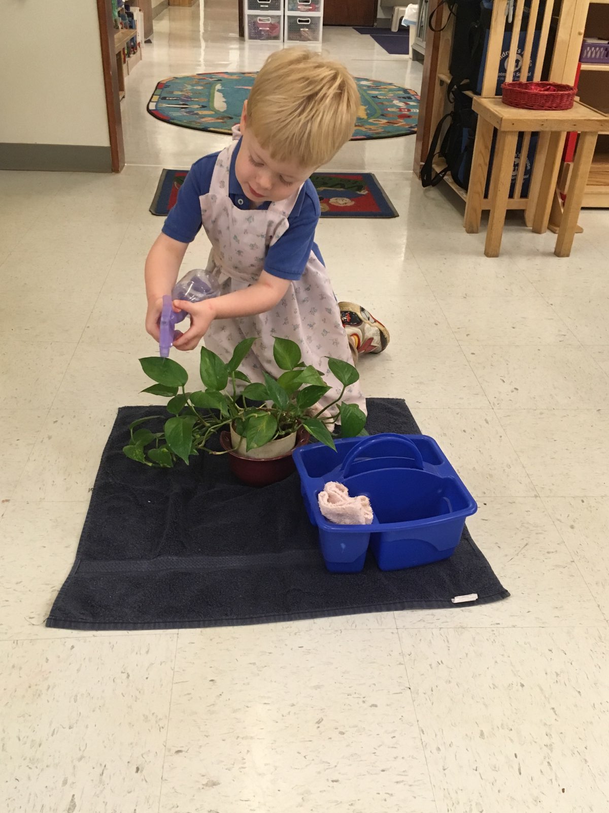 102. Understanding the Montessori Practical Life Curriculum - Children ...