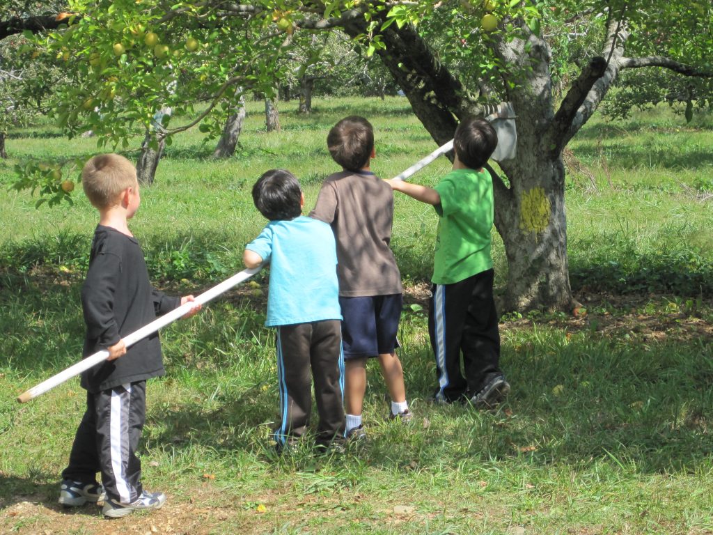 70. Build Your Child's Vocabulary: 3 Activities for Fall - Children's ...