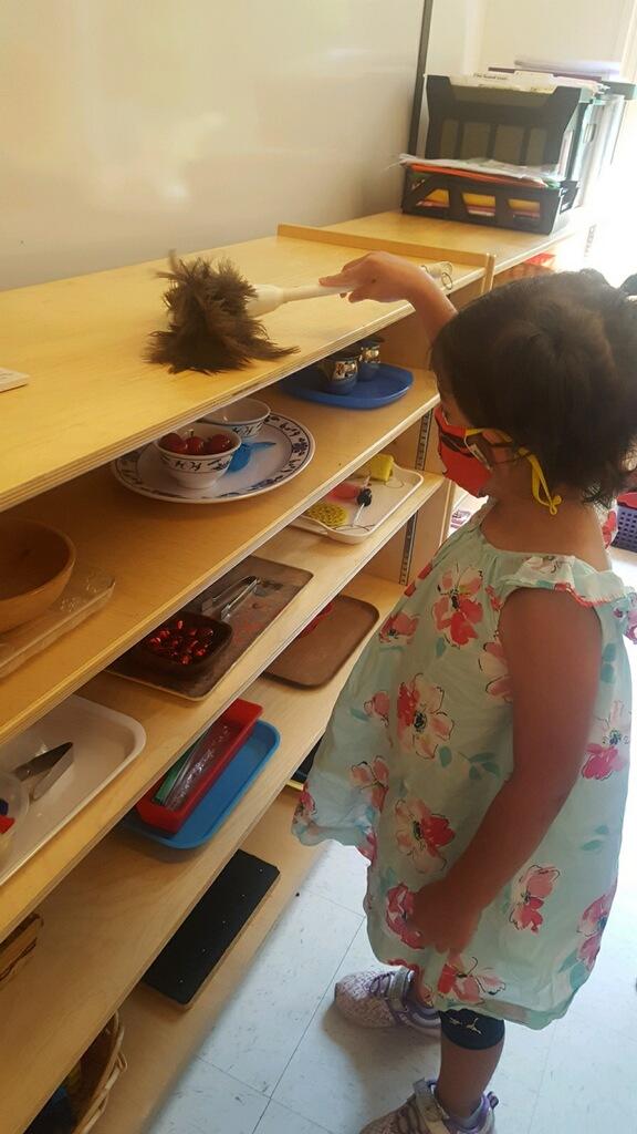 102. Understanding the Montessori Practical Life Curriculum - Children ...